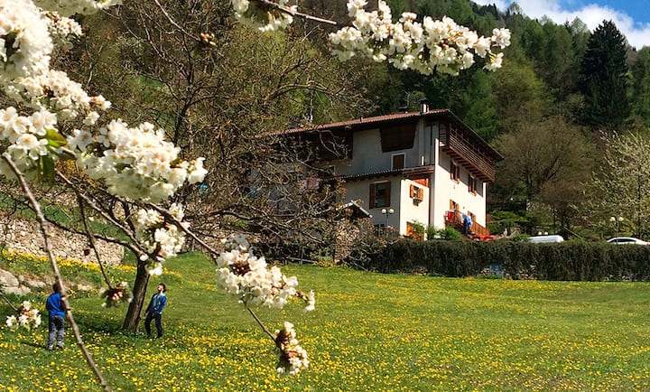 Maso Zont - Caldonazzo