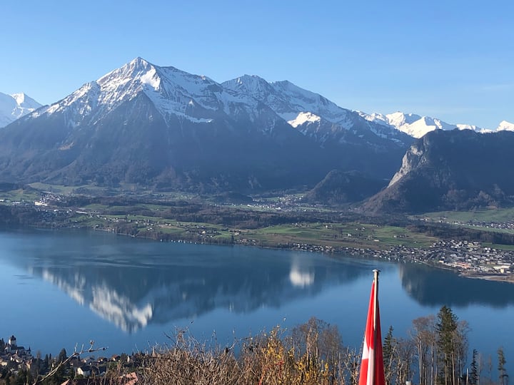 1 X Einzelbett-zimmer Ohne Balkon - Thun