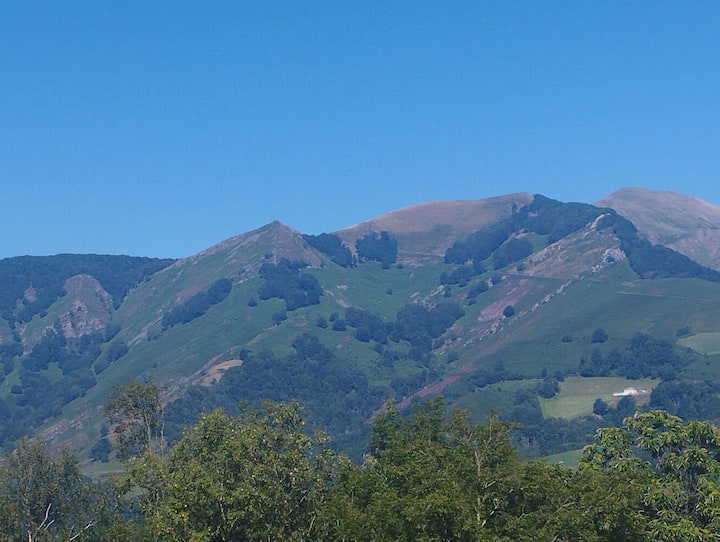 Le Petit Paradis - Saint-Jean-Pied-de-Port