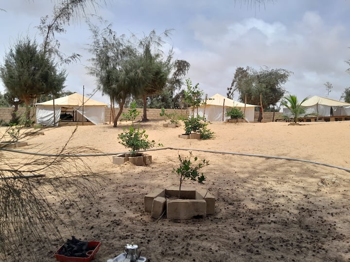 Les Jardins Fleuris De Lompoul Sur Mer
2 Personnes - Sénégal