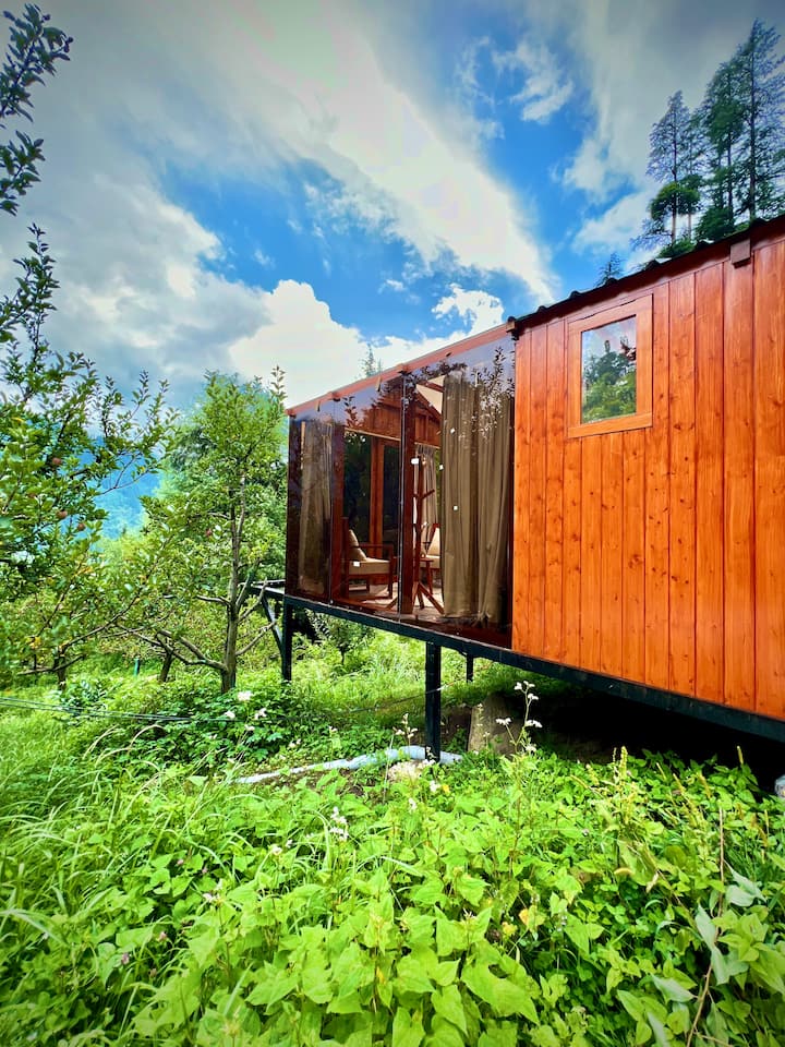 Unique Manali Wood & Glass Cabin & Café In Forest - Manali