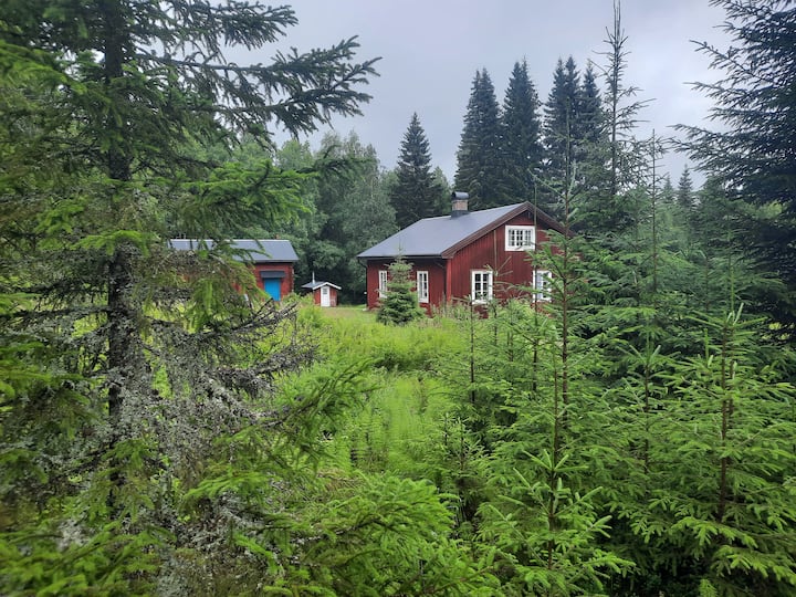 In De Ongerepte Natuur,  Ultieme Privacy In Zweden - Sweden