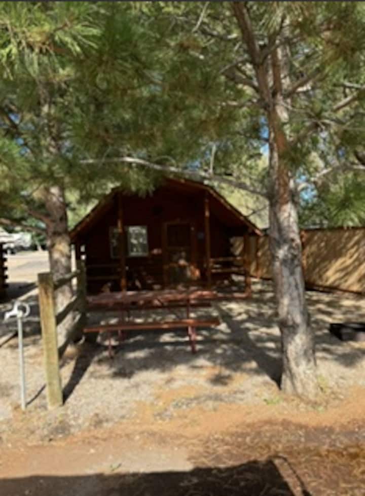 Family Nest Cabin K10 - Cedar City, UT