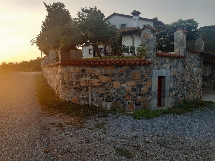 Turistična Kmetija Leban - Slovénie
