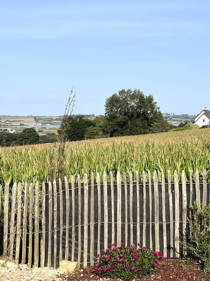 Jolie Maison, Très Belle Vue ! - Carantec
