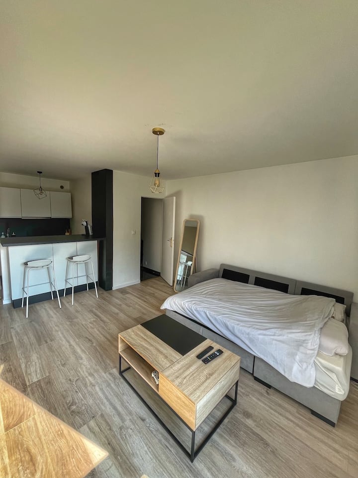 Charmant Studio Rénové Toulouse - Toulouse