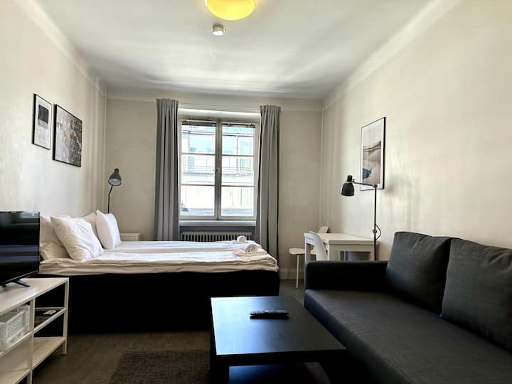 Stay Inn: Central Cozy Apartment On Kungsholmen - Stockholm