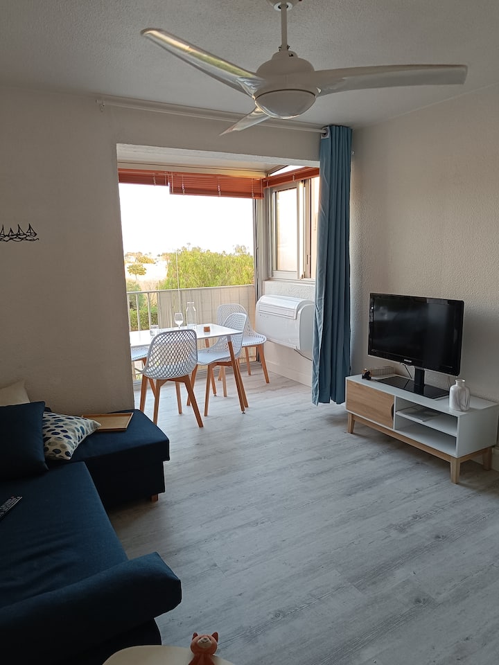 Agréable Appartement Avec Vue Mer - Carqueiranne