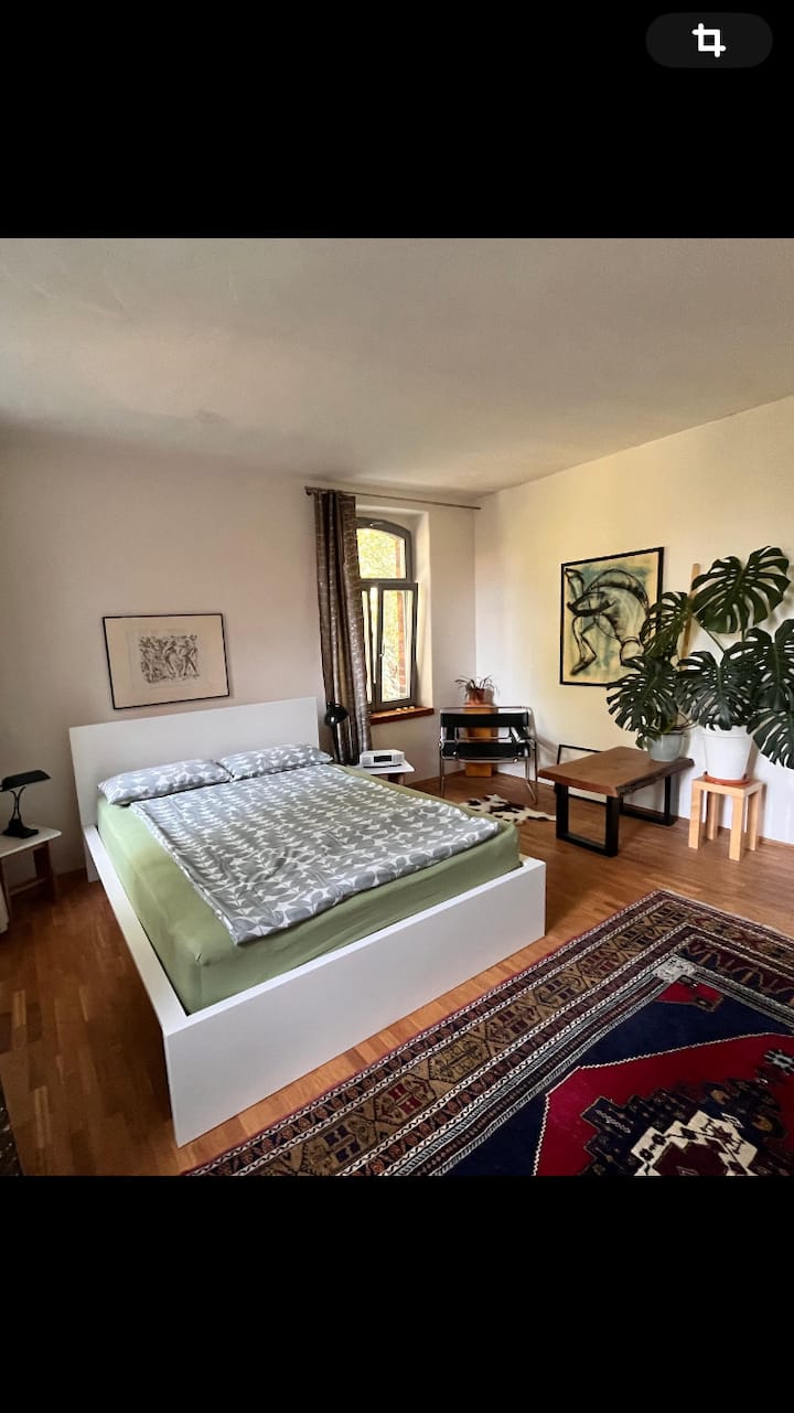 Wohnung Im Industriedenkmal - Leipzig