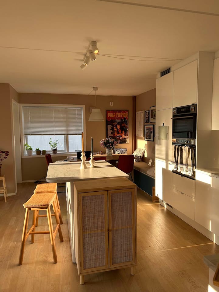 Bo Stort Og Lyst I Ringnes Park - Oslo