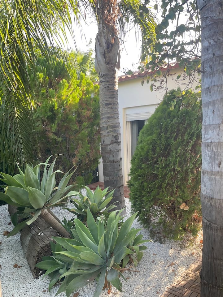 Tropical - Aljarafe