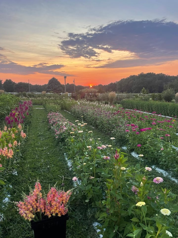 Guest Suite On A Flower Farm - Parvin State Park, Pittsgrove