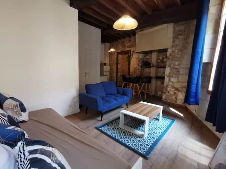 Studio Chic Dans Le Vieux Bergerac - Bergerac