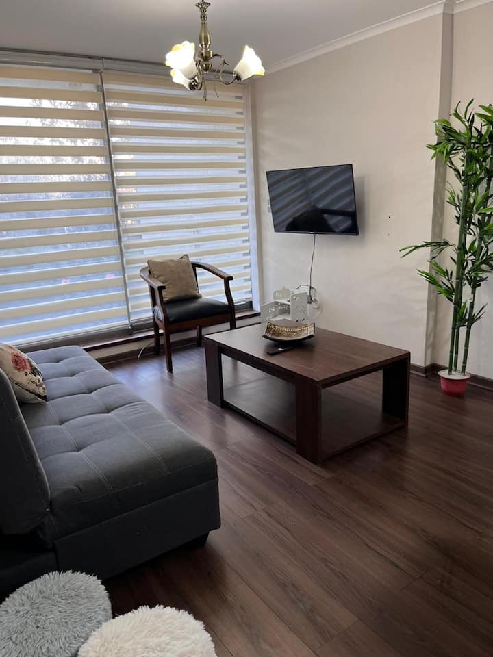 El Boldo Familiar 7 Personas - Los Angeles, Chile