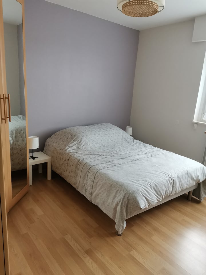 Appartement Spacieux Et Calme. - Mulhouse