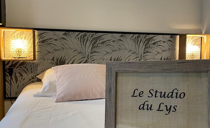 "Le Lys" 2/4 Pers.studio 20m2 - Saint-Aignan