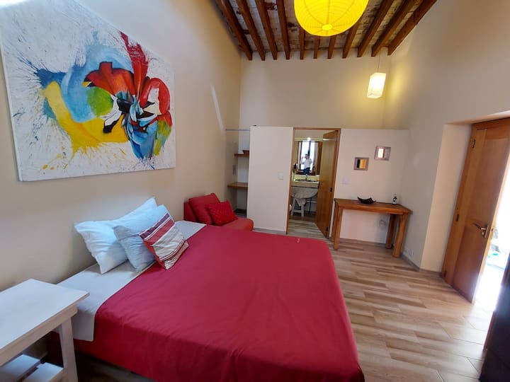 Habitación En Pleno Centro - Querétaro