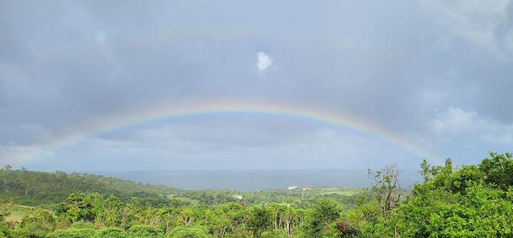 Paradise Found! - Grenada
