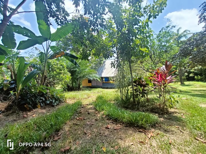 Gîte Moutouchi-carbet Waï - Guyane française
