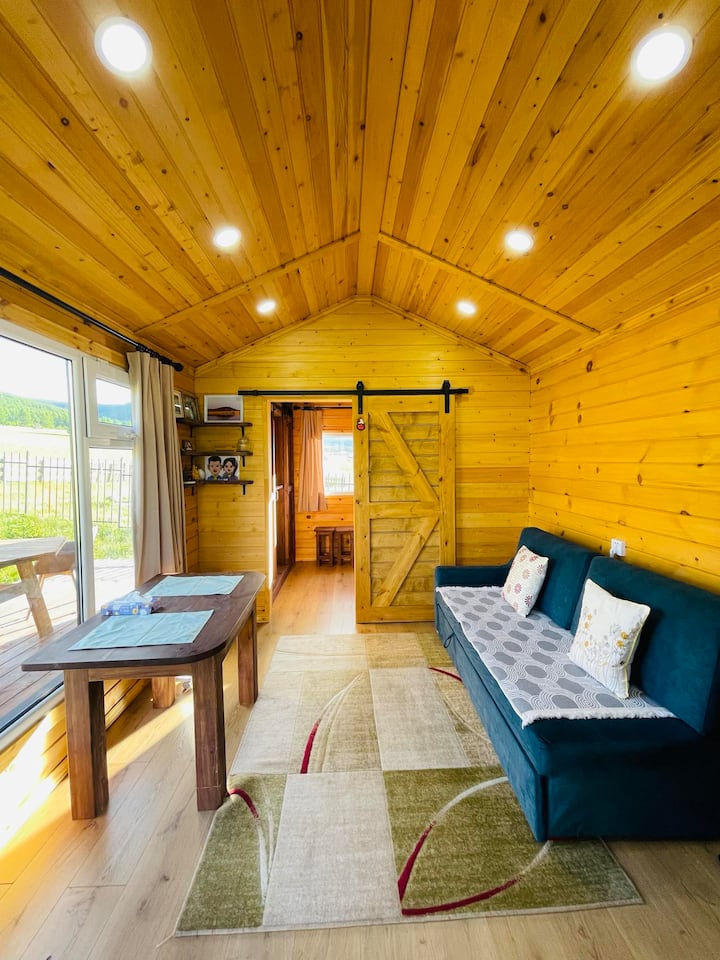 Tiny House Rent In Terelj Park - Mongolia