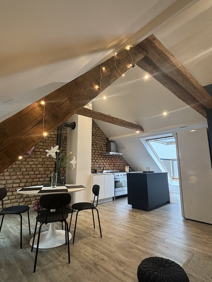 Appartement De Standing - Coup De Cœur - Strasbourg