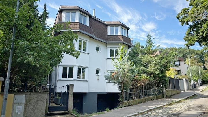 Traum Villa Mit Weingartenblick! - Wien