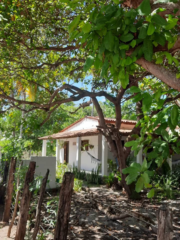 Casa A 100m Da Praia - Iii - Japaratinga