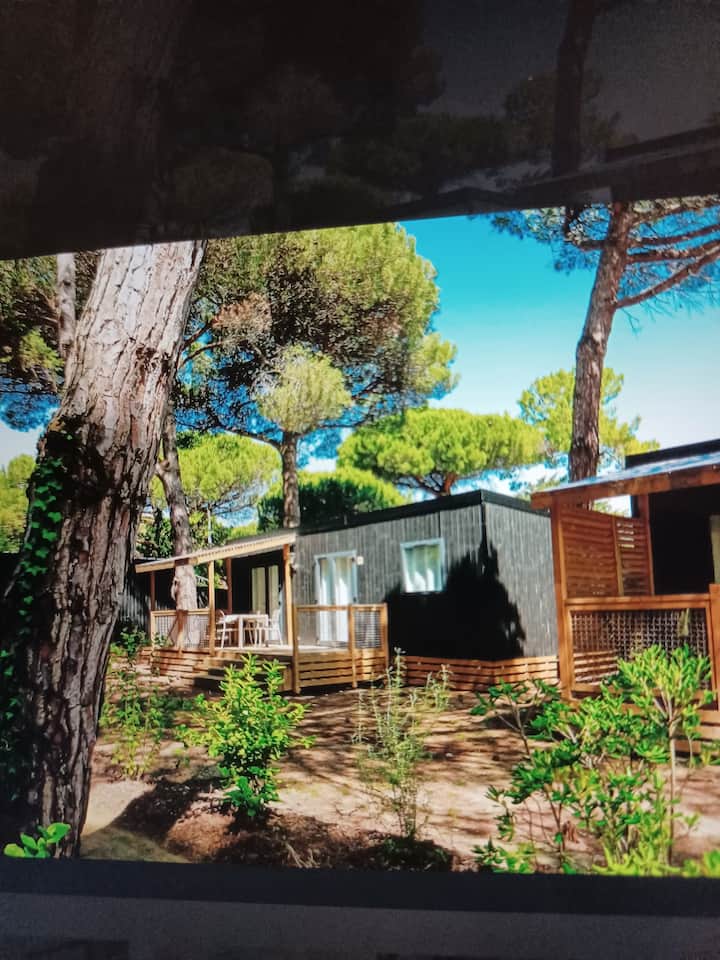 Nomadhome En Bois Grand Confort - Île de Ré