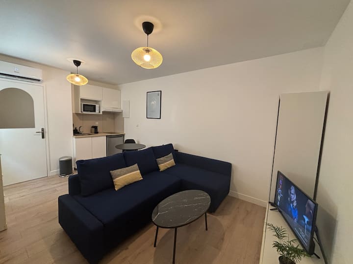 Le Nid Bleu, Cœur Des Minimes - Toulouse