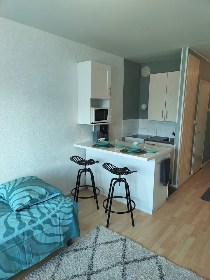 Comfortable Citystudio In Green Area, Free Parking - Oulu