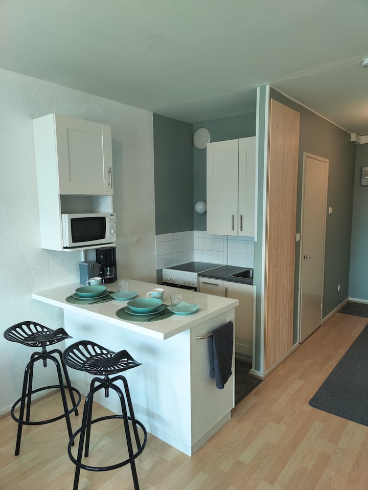 Comfortable Citystudio In Green Area, Free Parking - 오울루