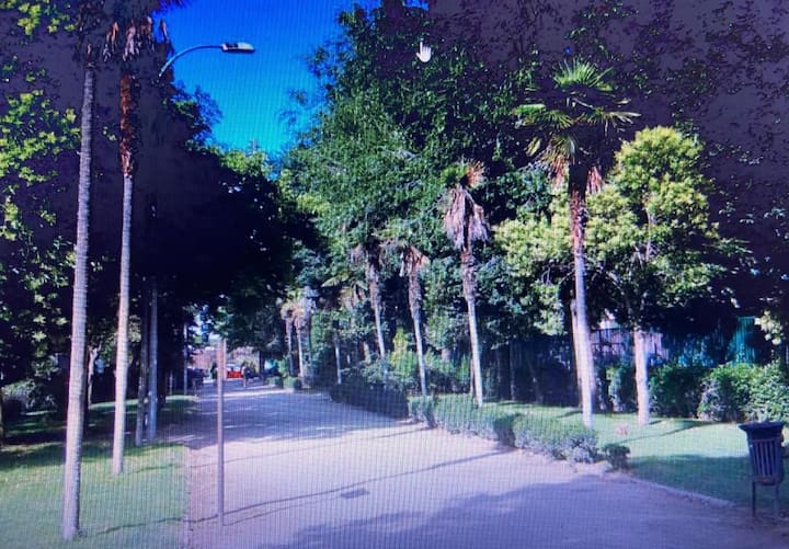 Noria  2a-2 Personas - Alcalá de Henares