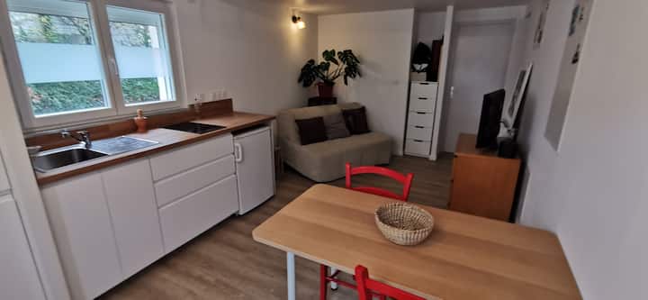 Agréable F2 Dans Une Maison - Gières