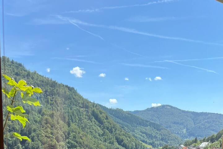 Apartment Weitblick - Todtnauberg