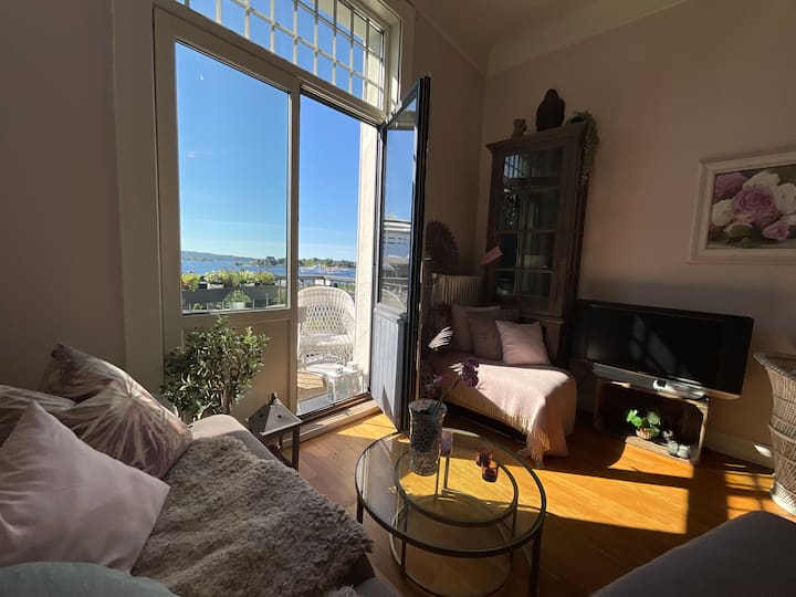 The Princess Suite With A View - Oslo