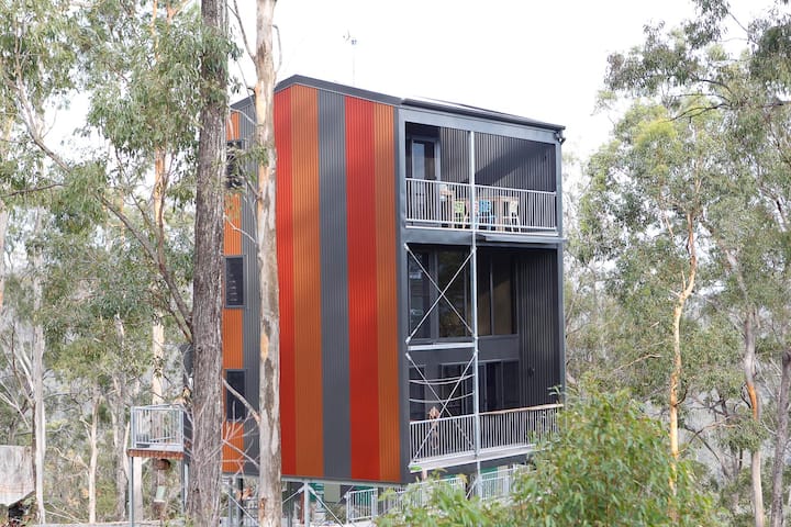 Gold Coast Treehouses Four - Springbrook