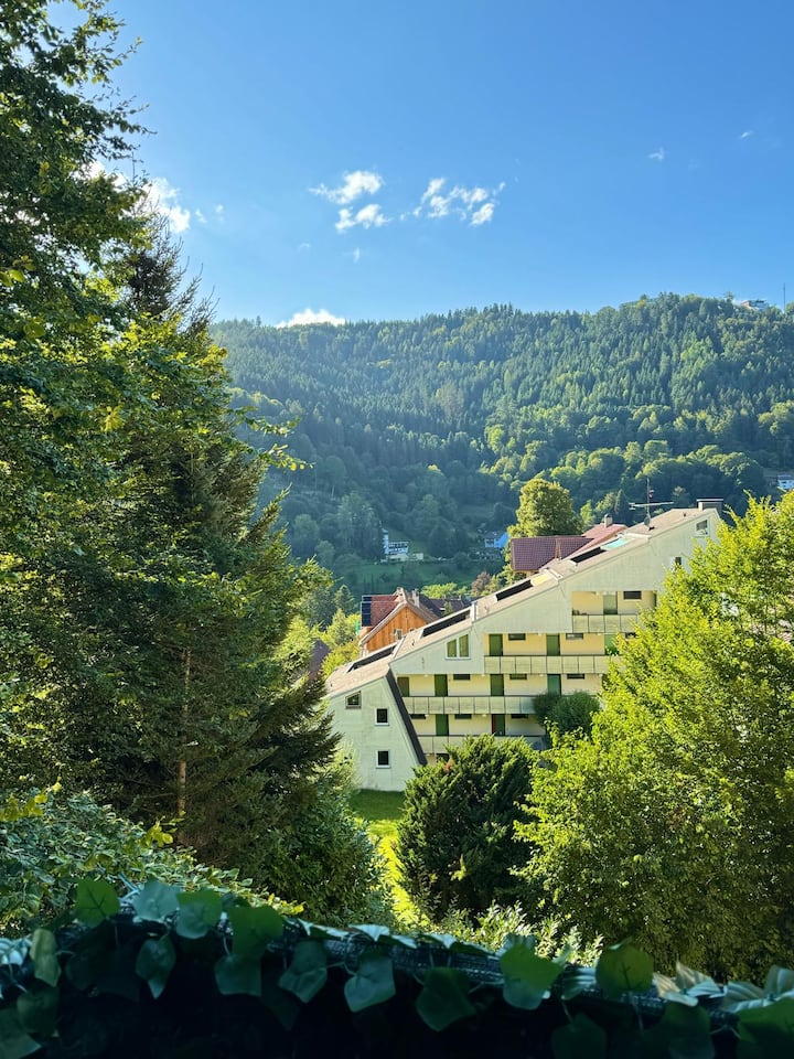 Black Forest Apartment - Bad Wildbad