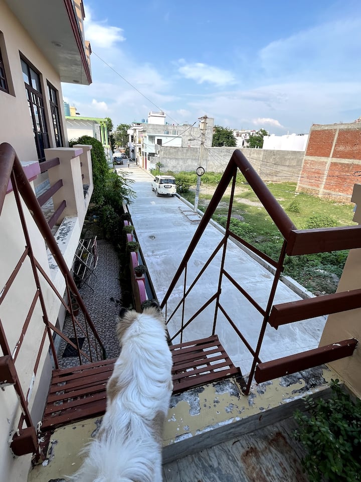 Oasis - Lucknow