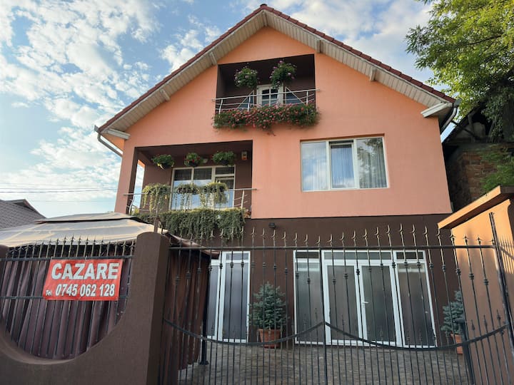 House Riana - Turda