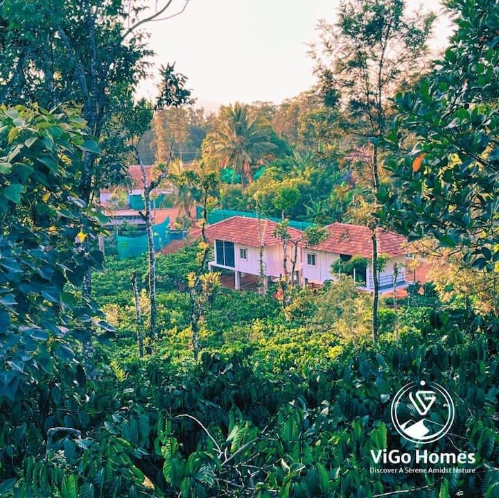 Container In Coffee Plantation - Sakleshpura