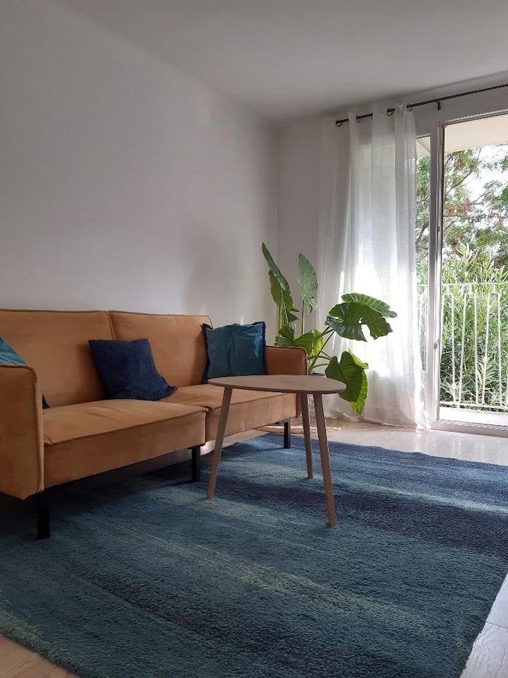 Charmant T3 à Deux Pas Du Centre - Montpellier