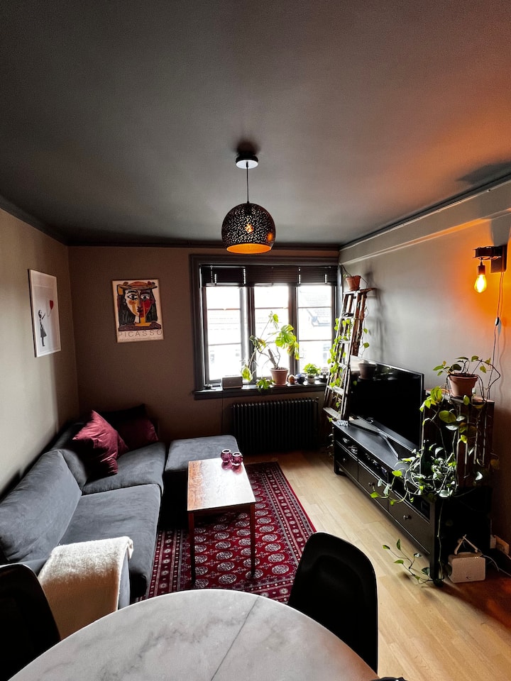 Koselig Leilighet Midt På Løkka - Oslo