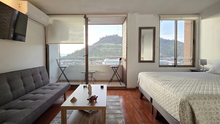 Studio Apartment In Providencia - Providencia
