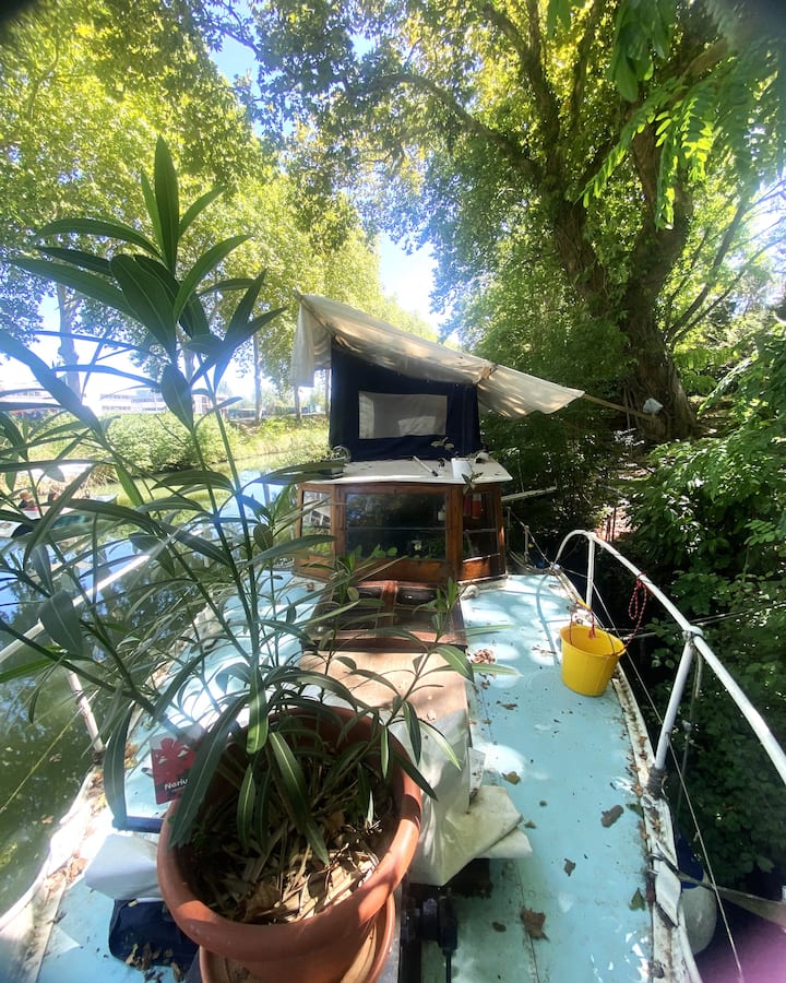 Pilotine Sur Canal Du Midi - Toulouse