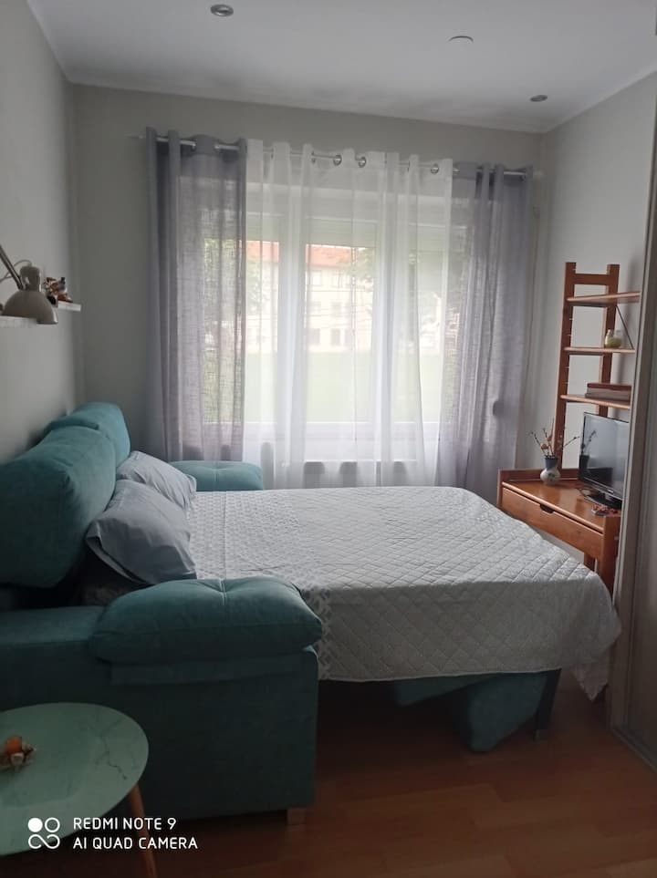 Habitación En Zona Universitaria - Oviedo