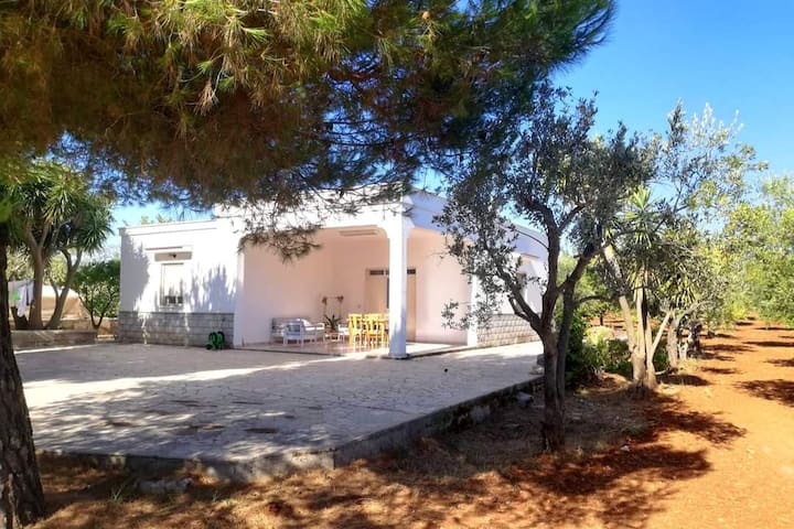 Casa Natale - San Vito dei Normanni