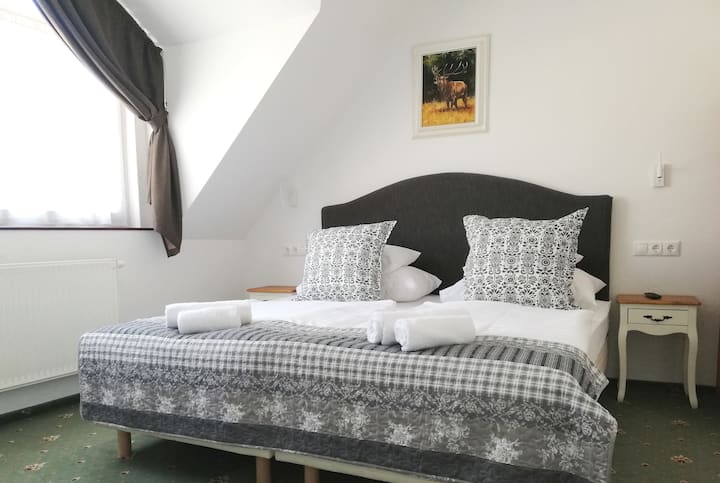 Biloba Apartman - Tapolca