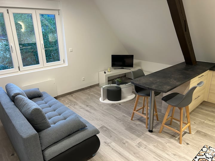 Vue Magnifique Sur Les Châteaux - Parc de Schoppenwihr