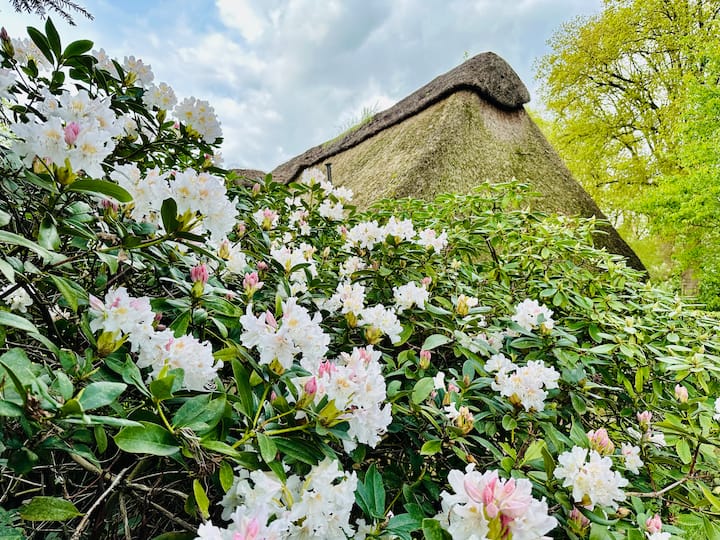Das Ferienhaus Im Schluh - Worpswede
