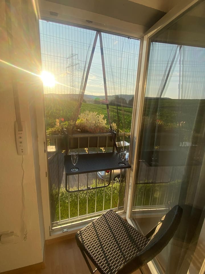 Ferienwohnung Heuchelbergblick - Cleebronn